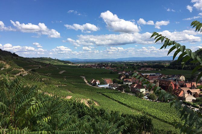 5H00 ALSACE PRIVATE TOUR-Castle, Villages, Wine, Friendly Driver - Why Choose This Tour?