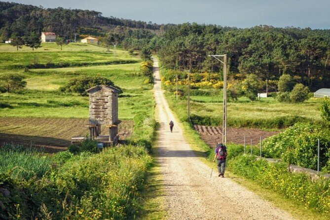 7-Day Portuguese Camino de Santiago Tour from Tui - What Makes This Tour Stand Out?