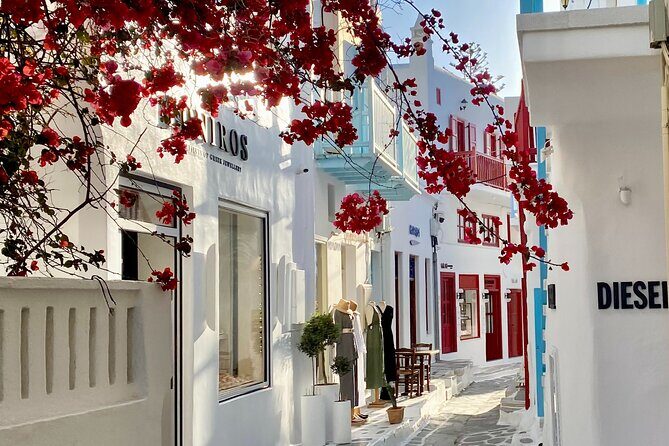 7 Hours All Of Mykonos Private Tour Lunch Included and Pick Up - Why Guides Make a Difference