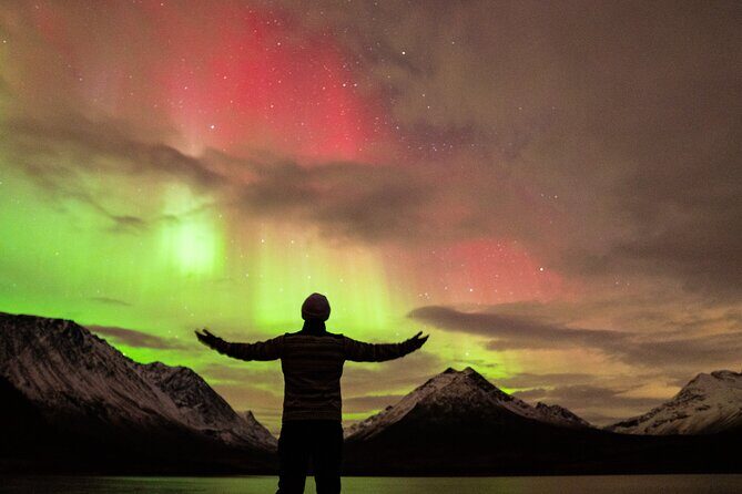 7 hours Tromsø Aurora Tour: Photos, snacks & warm drinks included - What to Expect from This Aurora Chase