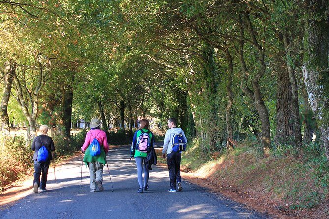 8-Day Camino Frances Pilgrimage Tour from Sarria to Santiago - 2nts Santiago - Potential Drawbacks or Considerations