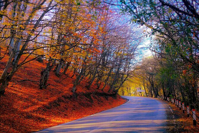 A day trip to Great Caucasian mountains - What Makes This Tour Stand Out?