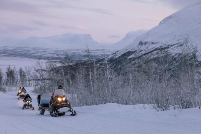 Abisko/Björkliden: Panorama Snowmobile Tour with Snacks - What Makes This Snowmobile Tour Stand Out?
