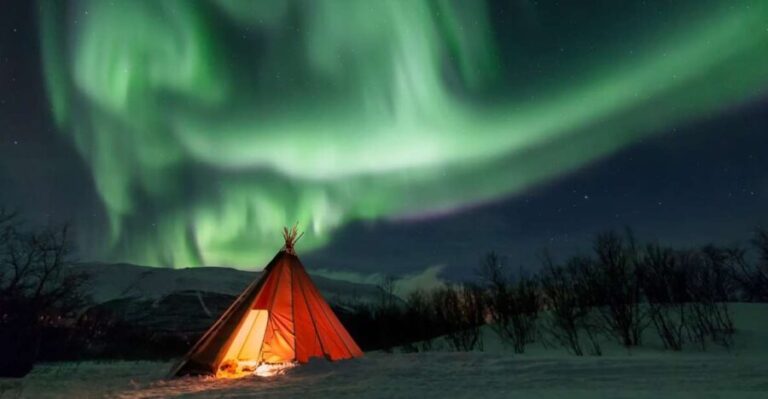 Abisko: National Park Northern Lights Photo Tour - Who Is This Tour Best For?