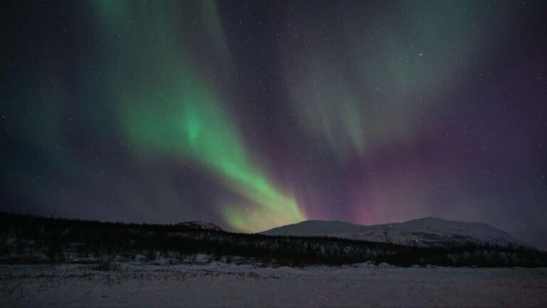 Abisko: Northern Lights Hike with Husky Puppies - Authentic Experiences as Highlighted by Reviews