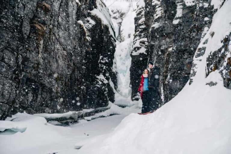 Abisko: Photo Hike with Professional Photographer - The Itinerary in Detail