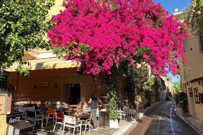 Acropolis & Plaka Neighbourhood Private Tour with Licensed Expert - In-Depth Review of the Tour Experience