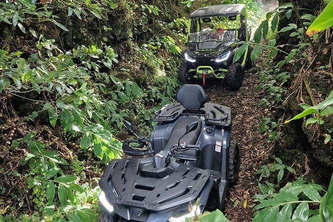 Adventure by buggy in Mount Pico - What Guests Say About the Experience