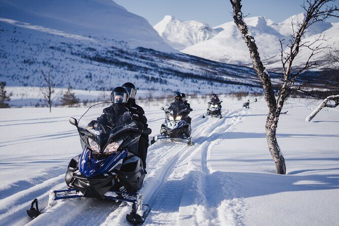 Adventure Snowmobile Safari - Authentic Experiences and Common Praise