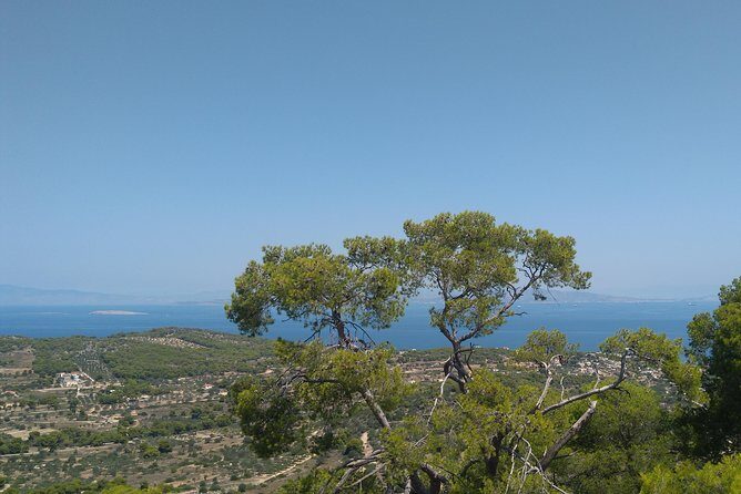 Aegina Island St Nektarios & Temple of Athina Aphaia Private Tour - Authentic Experiences and Hidden Gems