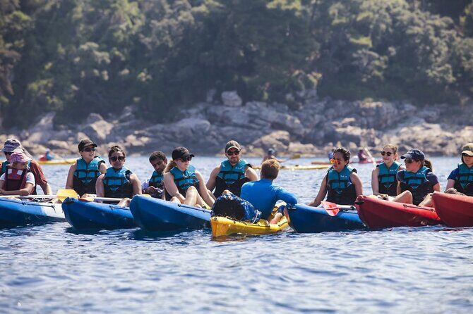 Afternoon Kayaking in Dubrovnik - Key Points