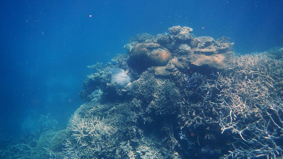 Agincourt Reef pontoon at the outer edge of the Great Barrier Reef