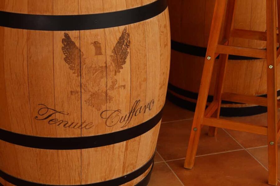 Agrigento: Wine tasting and walk in the vineyards. - Final Thoughts: Who Will Love This Tour?