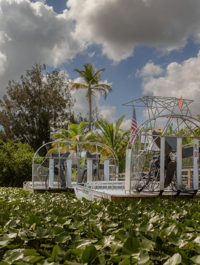 Two airboats parked in a swamp surrounded by lush greenery