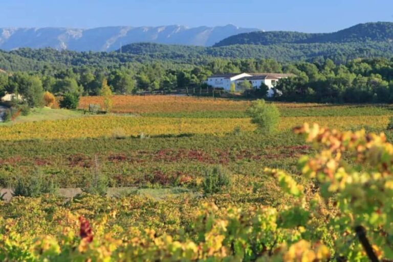 Aix-en-Provence: Half Day Wine Tour in Coteaux d'Aix - Why This Tour Offers Great Value