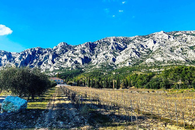 Aix-en-Provence - Mt Sainte Victoire wines in search of Cézanne - Frequently Asked Questions