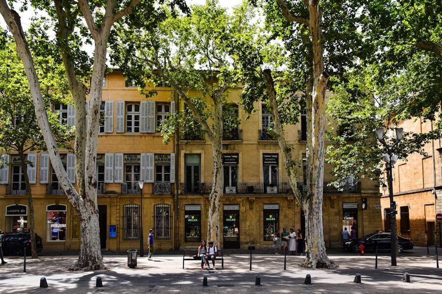 Tree-lined street in Aix-en-Provence with classic French architecture