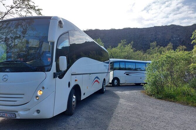 Akureyri Northern Light Tour - Who Should Consider This Tour?