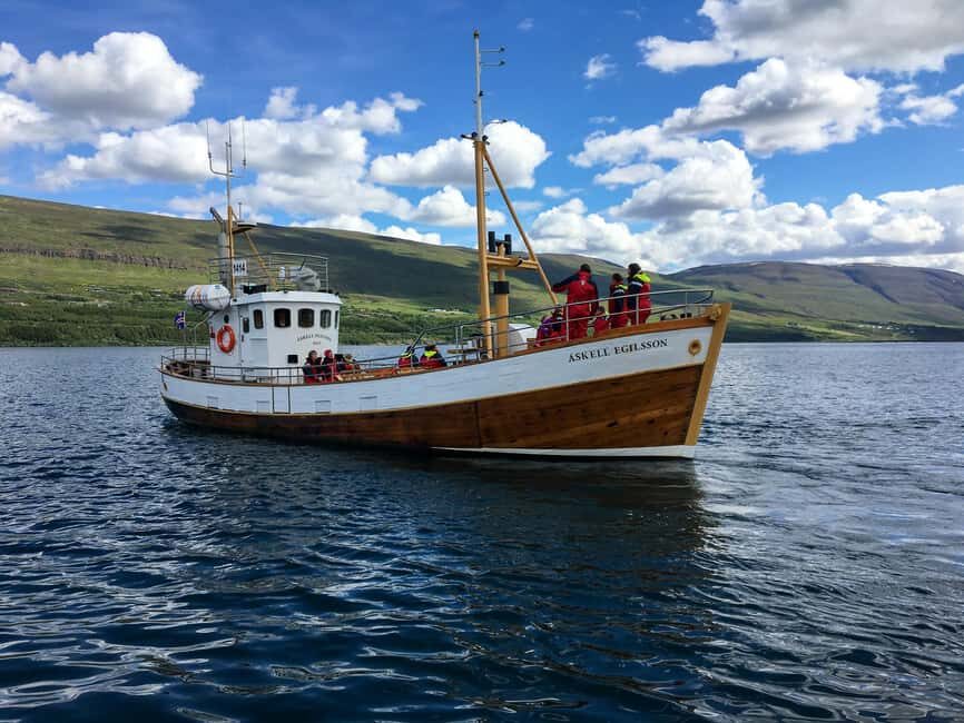Akureyri: Whale Watching Tour with Transfer from Port - Key Points