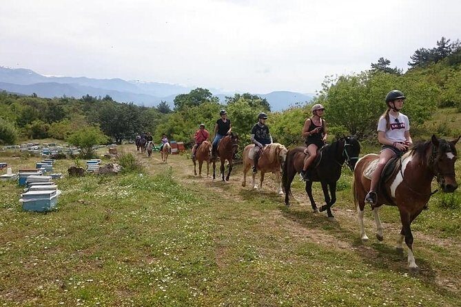 Alanya: Horseback Ride Through Nature near Syedra Ruins - An In-Depth Look at the Tour