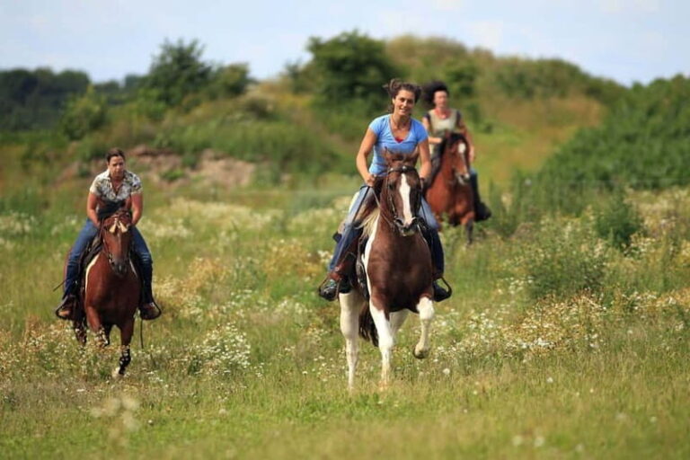 Alanya: Horseback Ride Through Nature near Syedra Ruins - Ending with Relaxation or a Swim