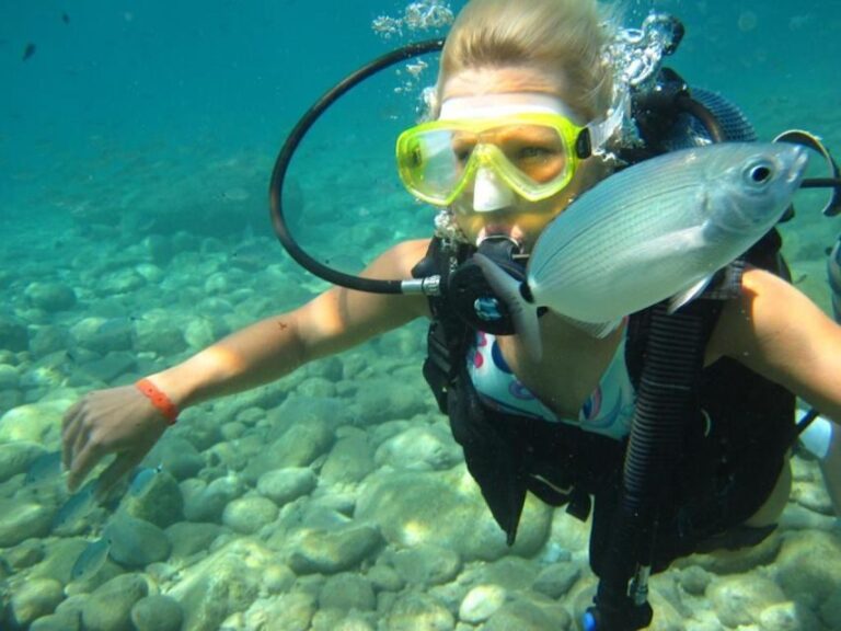 Alanya: Scuba Diving Experience with Lunch - The Lunch and Onboard Comfort