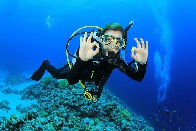Alanya : Scuba Diving for Beginners w/ Lunch and Transfer - What Makes This Tour Worth It
