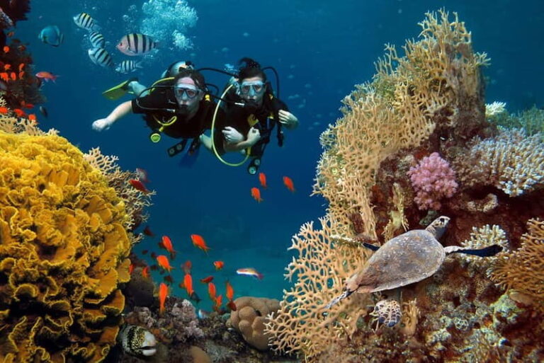 Alanya: Scuba Diving Tour with Lunch and Hotel Transfers - Who Is This Tour Best For?