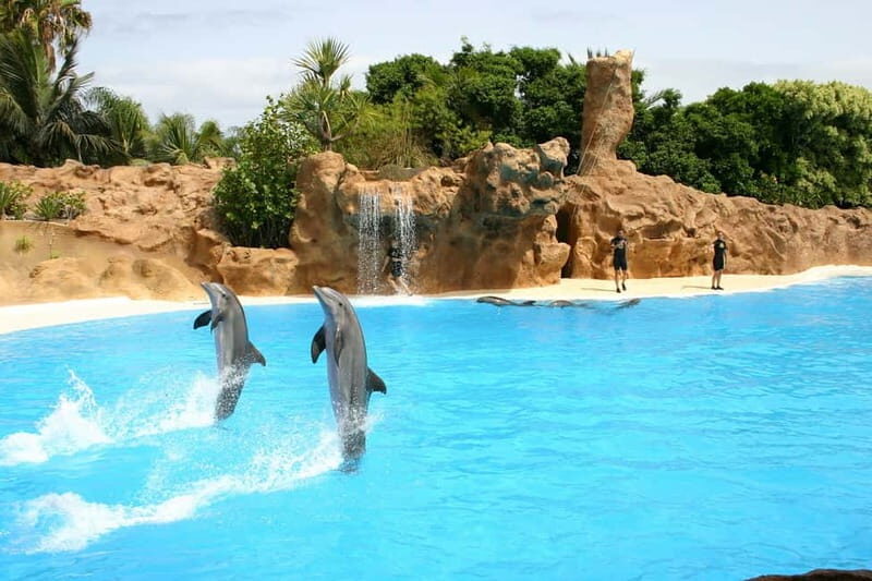 Alanya: Sealanya Dolphinpark Dolphin Show Tour - What to Expect at Sealanya Dolphinpark