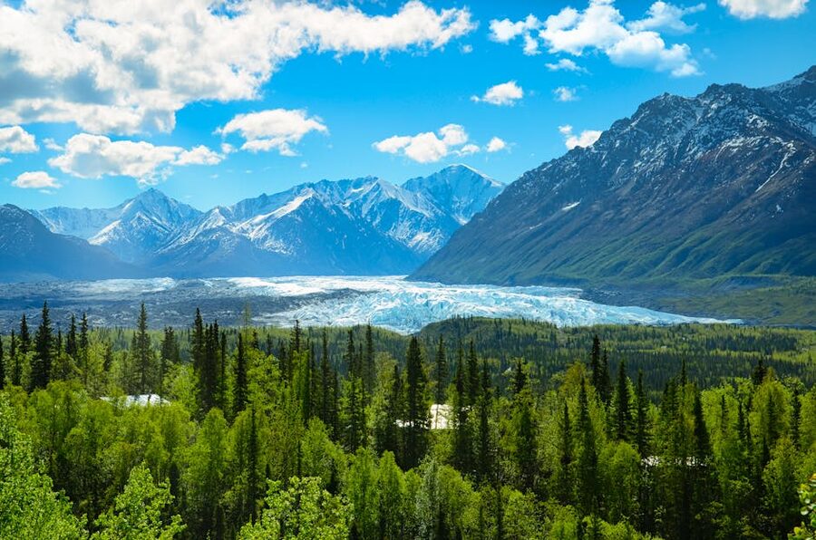 Alaska mountains glacier and summer forest