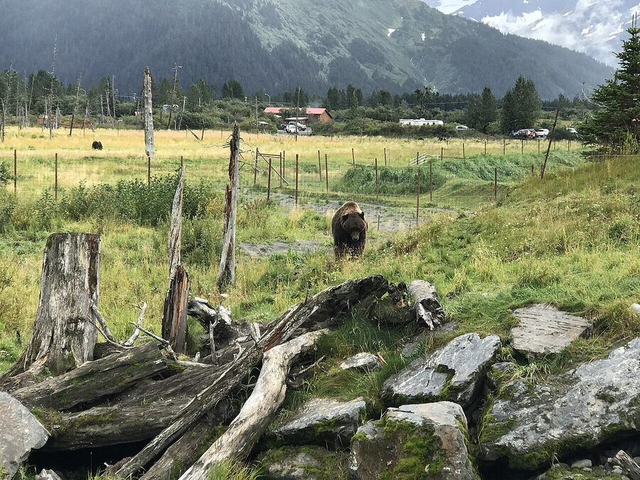Alaska Wildlife Conservation Center entrance