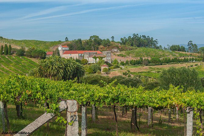 Albariño trails Private Wine Tour/Shore excursion from Vigo - Scenic Stops and Local Flavor