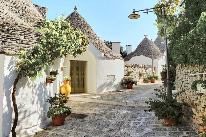 Alberobello : Group or Private Walking Tour & Olive Oil Tasting - The Value of the Tour: Is it Worth It?