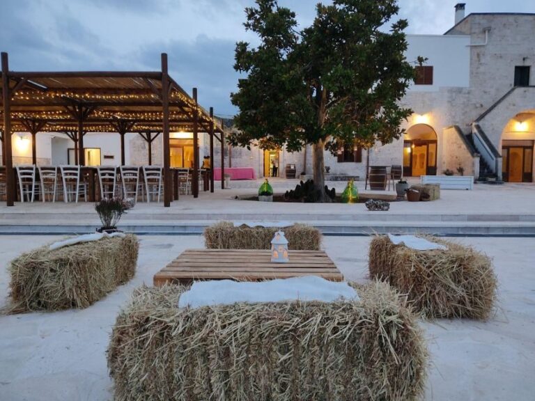 Alberobello: Winery Tour with Wine and Food Tasting - The Experience’s Value and Practical Aspects