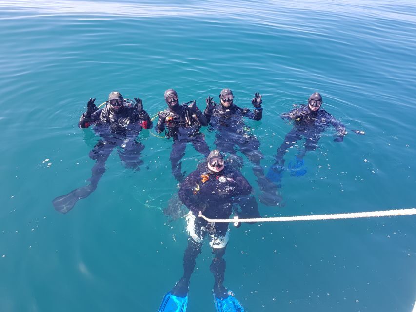 Albufeira: 2 DIVES TRIP (ONLY CERTIFIED DIVERS) - The Itinerary Breakdown