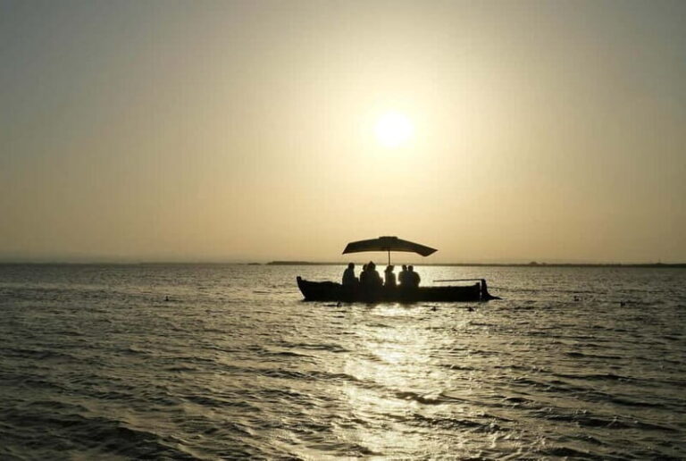 Albufera Bike Adventure: Wetlands, Beaches & Biodiversity - A Deep Dive into the Albufera Bike Adventure Experience