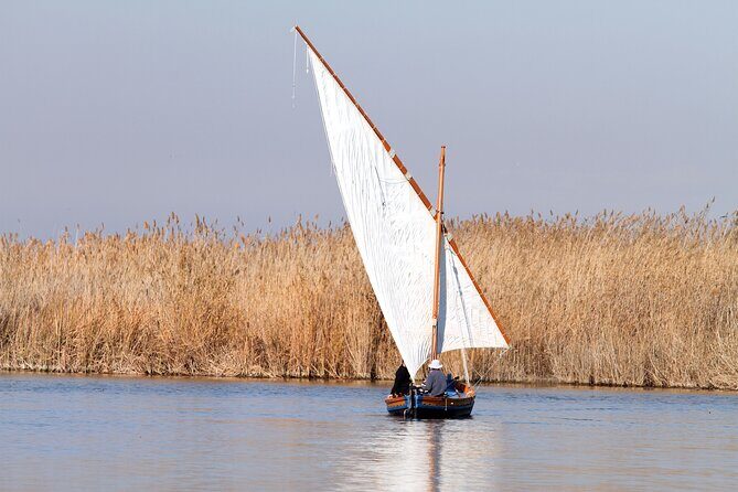 Albufera Private Day Tour: Paella, Boat Cruise and Nature Walk - Why This Tour Offers Great Value