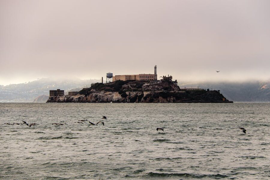 Alcatraz Island at sunset with seagulls overhead
