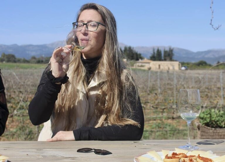 Alcúdia/Can Picafort: Guided Vineyard Visit and Wine Tasting - An In-Depth Look at the Alcúdia/Can Picafort Wine Tour