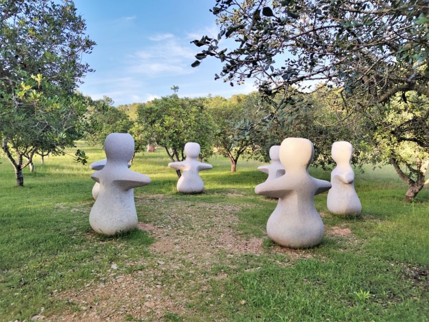 Alcudia: Museum Sa Bassa Blanca Entry Ticket - Practical Tips for Visiting Sa Bassa Blanca