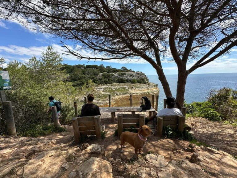 Algarve: 7 Seven Hanging Valley Hike Tour- Photos & Transfer - An In-Depth Look at the Algarve Hanging Valley Hike