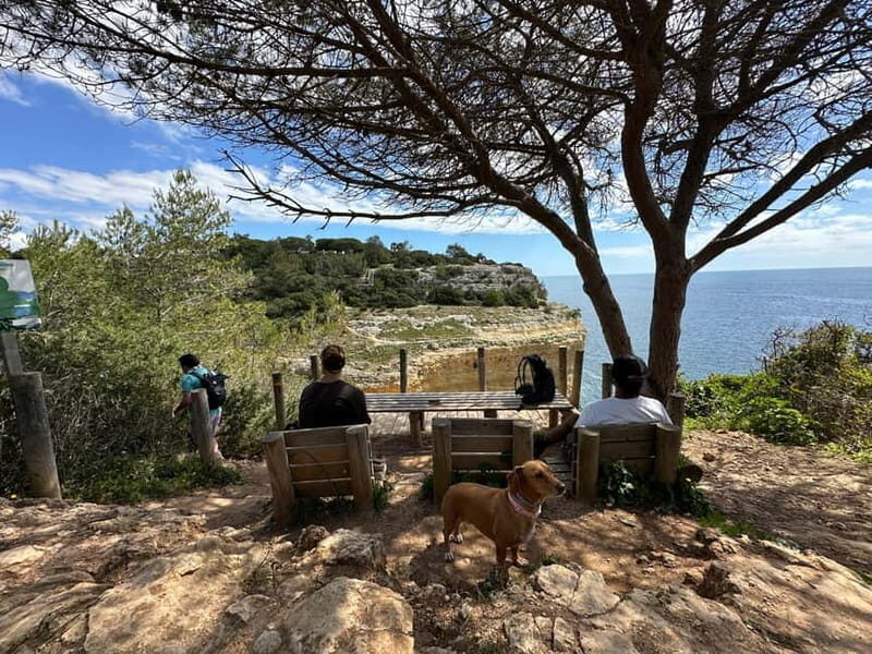 Algarve: 7 Seven Hanging Valley Hike Tour- Photos & Transfer - An In-Depth Look at the Algarve Hanging Valley Hike