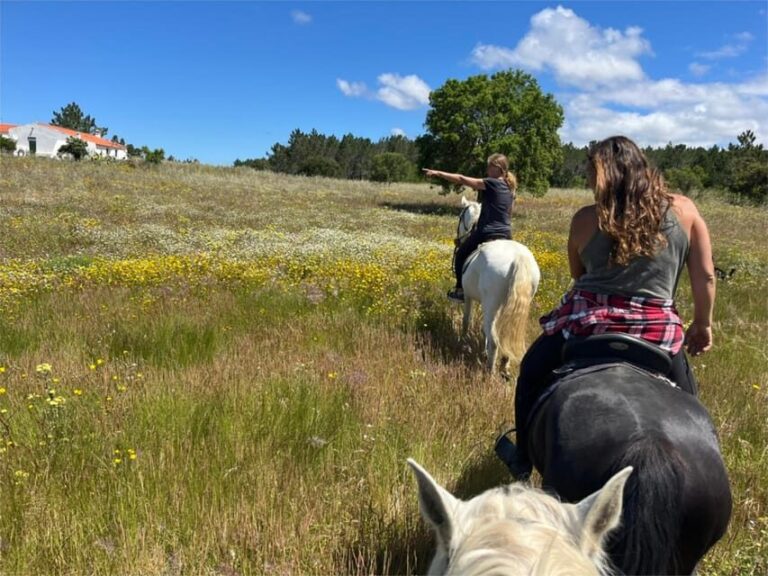 Algarve Horseriding tour in the countryside of Aljezur Rogil - FAQ