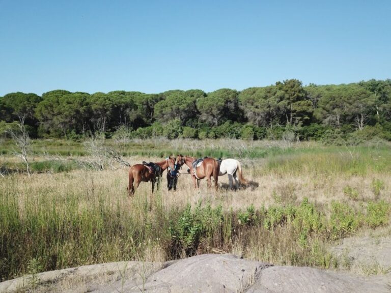 Alghero: Lake Baratz Guided Horseback Ride - The Scenic Route