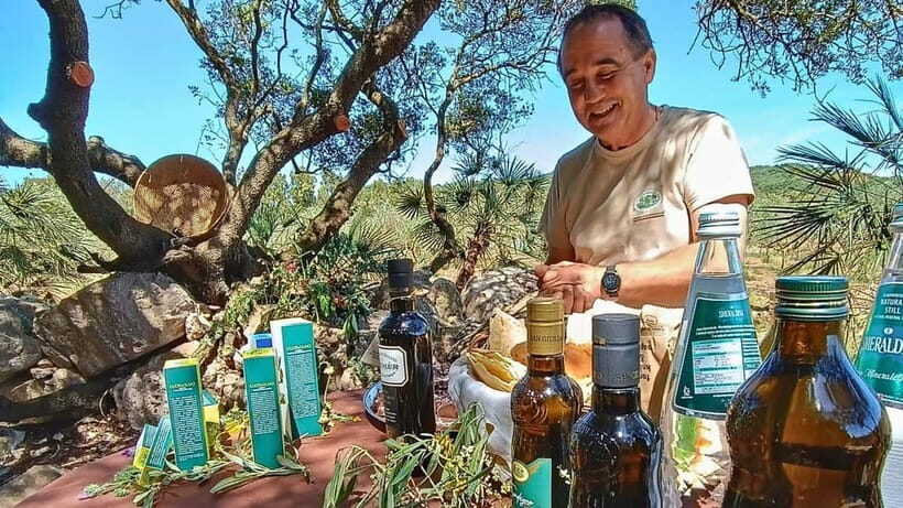 Alghero: Olive Grove Visit with Olive Oil Tasting - Who Will Appreciate This Tour?