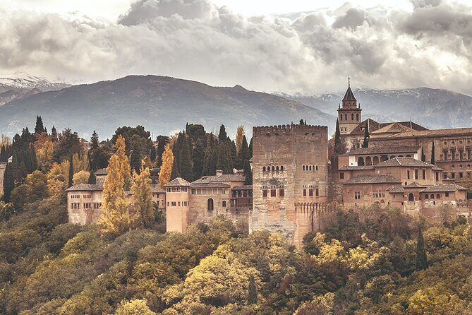 Alhambra Guided Tour from Malaga with Private Transportation - Transportation and Group Dynamics: What You Should Know