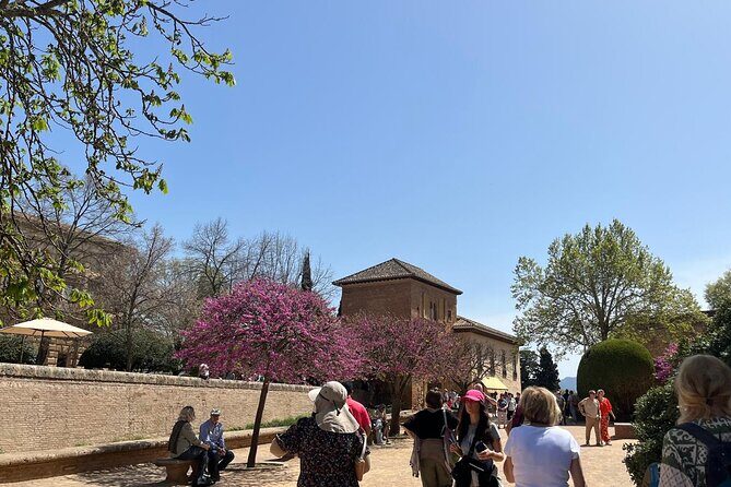 Alhambra Surroundings Guided Tour - Why This Tour Delivers Value