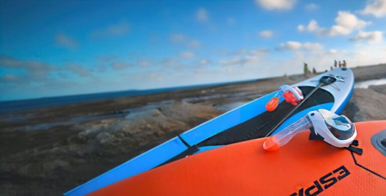 Alicante: E-Bike, Snorkeling and Paddle Surf Tour - What Makes This Tour Special?