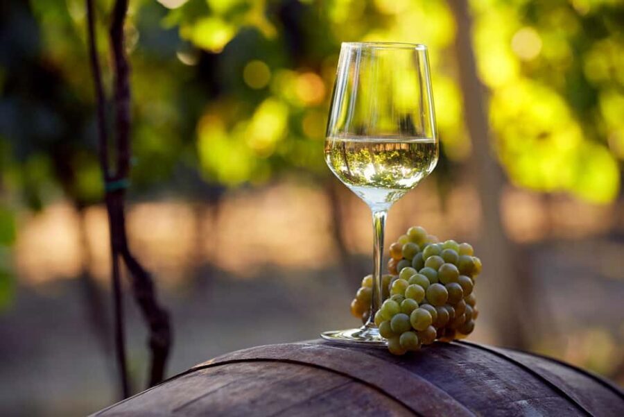 Alicante: Historic Winery Guided Tour + Wine Tasting / Private Transportation - Exploring Alicante’s Old Winery and Its Charm