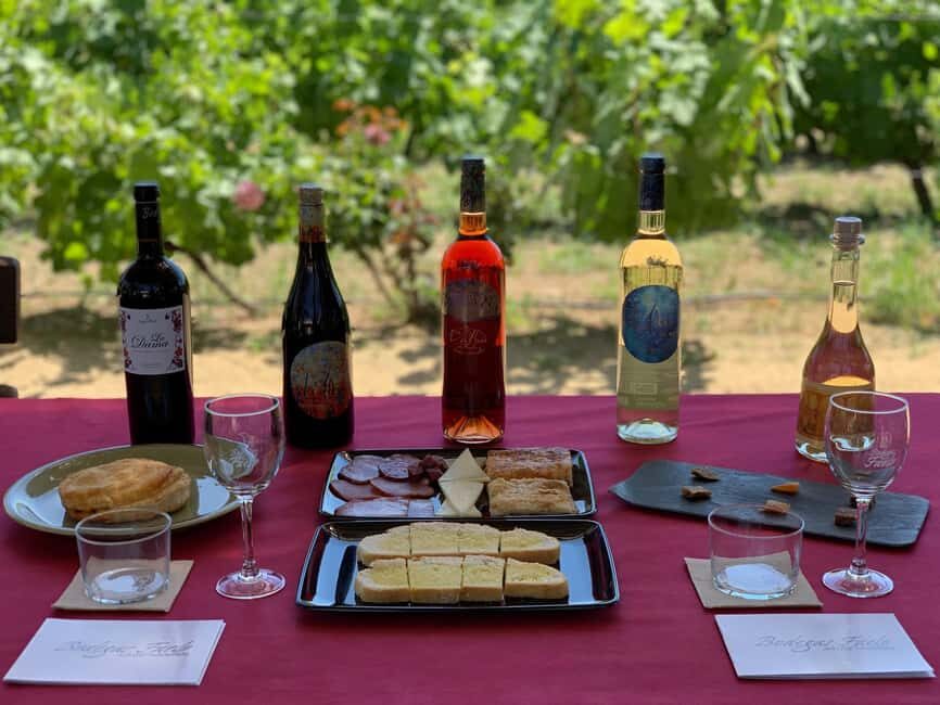 Alicante/Santa Pola -Best winery tour with tasting - In-Depth Breakdown of the Tour Experience